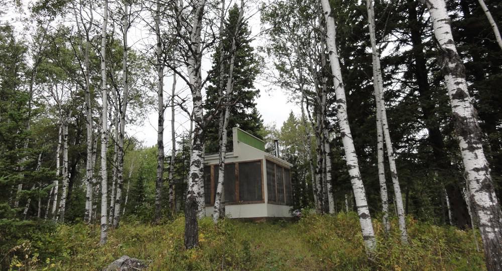 Wanda Koop: Into the Woods – Canadian Art