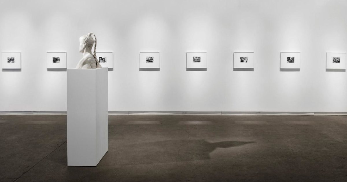 Chris Curreri: Metamorphoses - Canadian Art