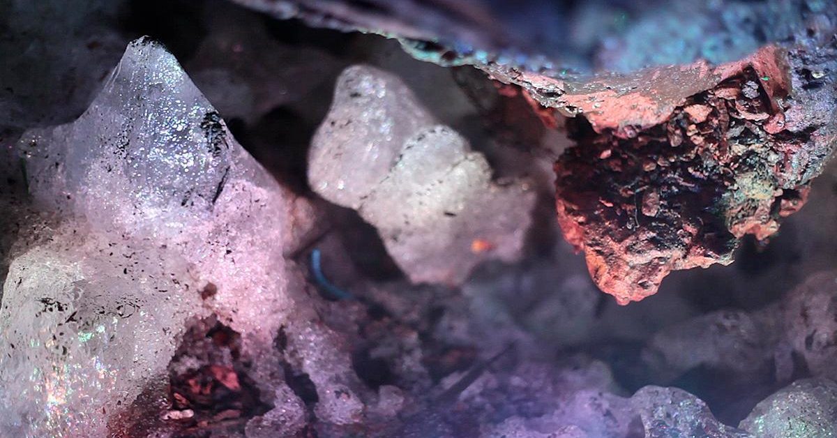 Colin Miner Wins Barbara Spohr Award - Canadian Art