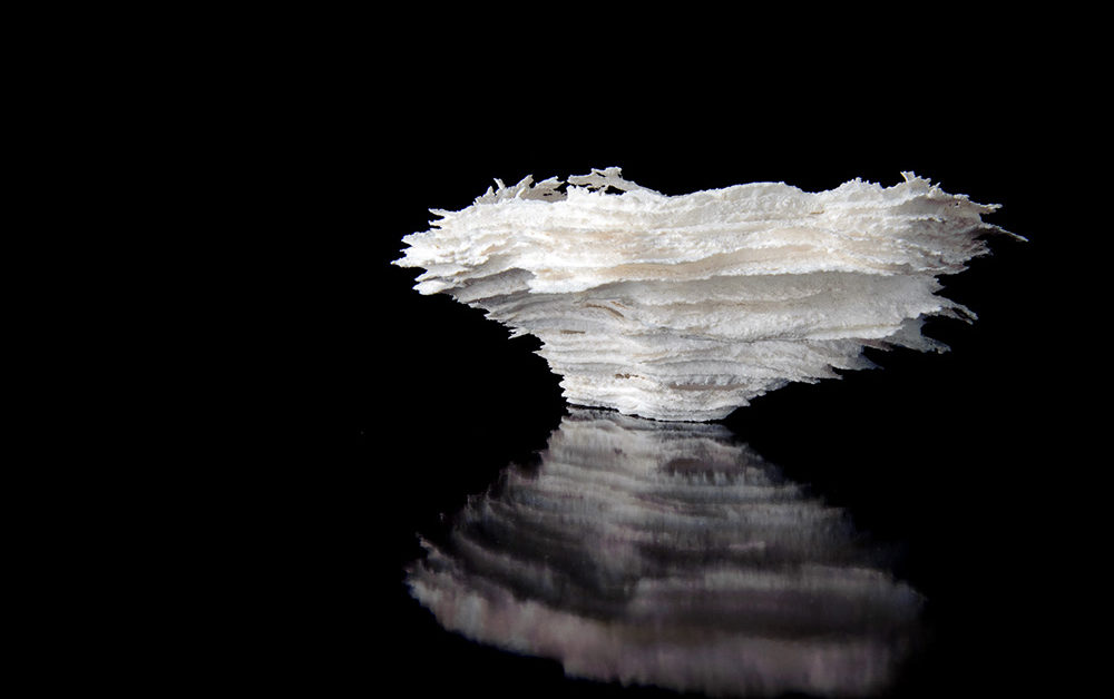 Clay & Glass Artists Receive $10K Awards – Canadian Art