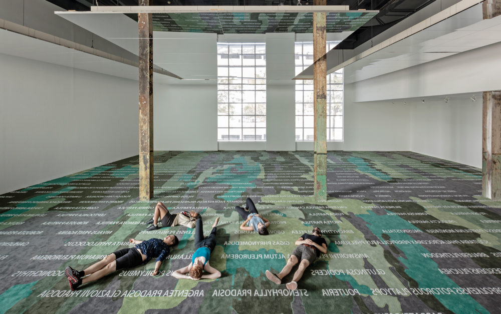 Collective Groan: Three Summer Shows at the Power Plant