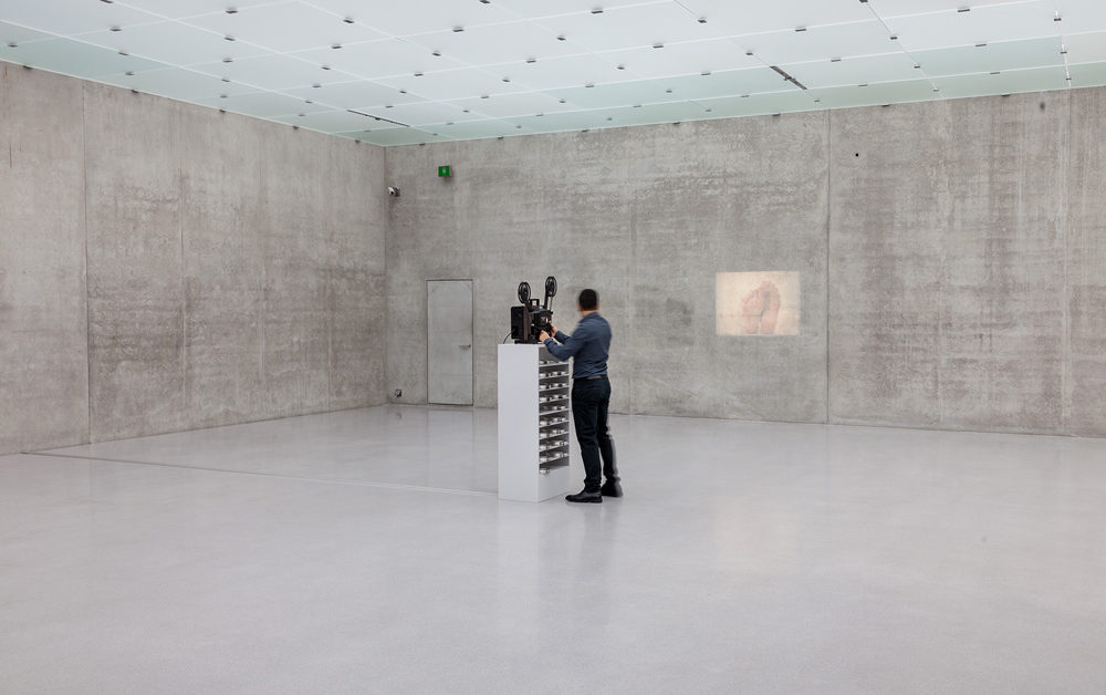 Maria Eichhorn: X-Rated Institutional Critique – Canadian Art