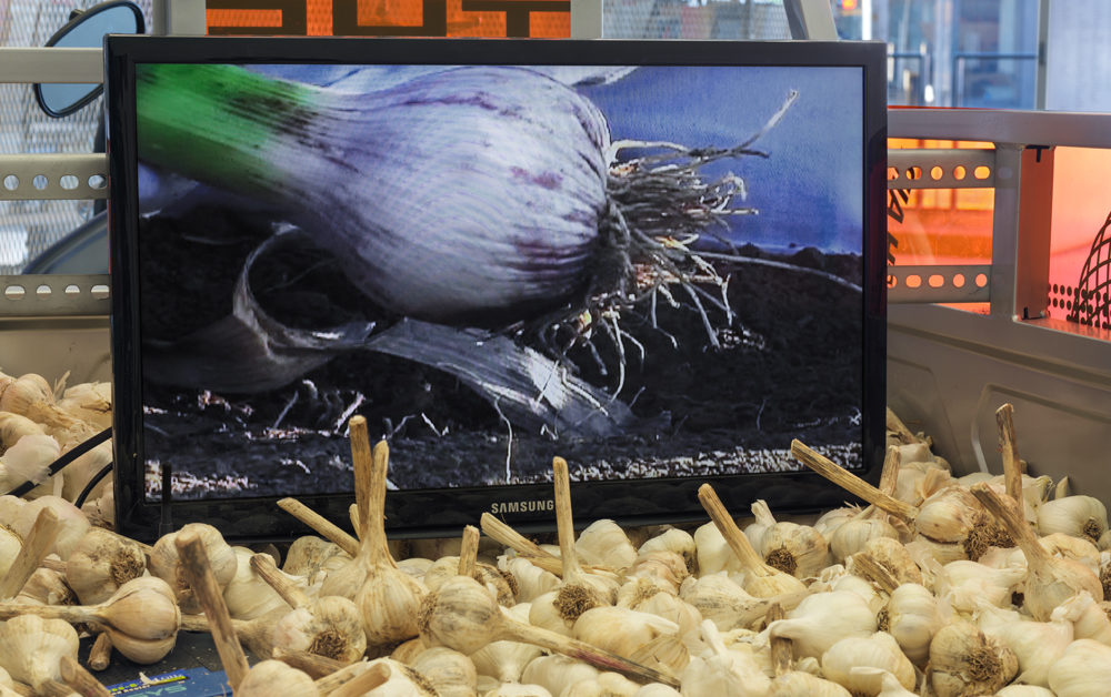 Net Art Anthology Canadian Art