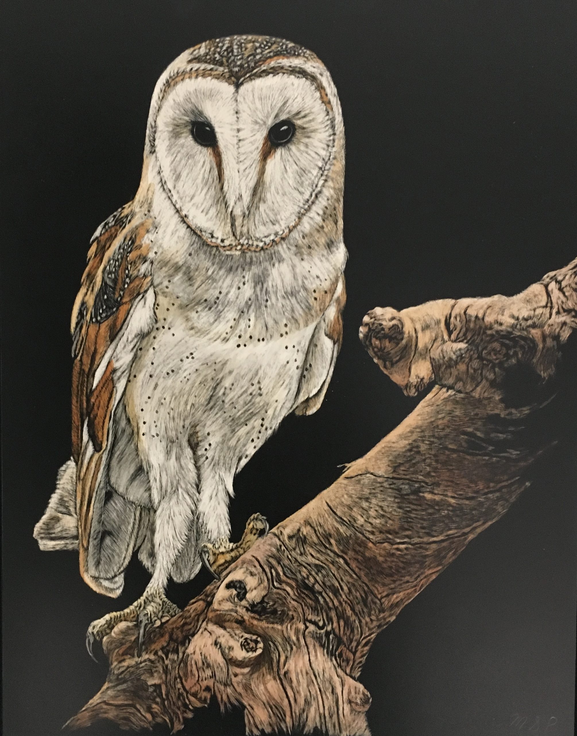 Southern Ontario Visual Artists – Canadian Art