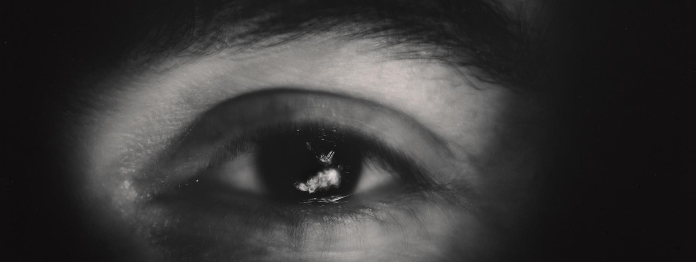 The Extended Moment: Fifty Years of Collecting Photographs at the ...