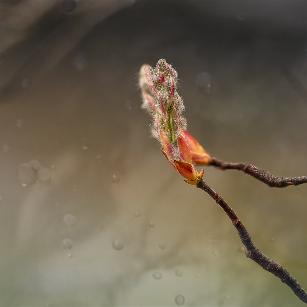 Foyer Gallery Virtual Show "Splash of Pixels" – Canadian Art